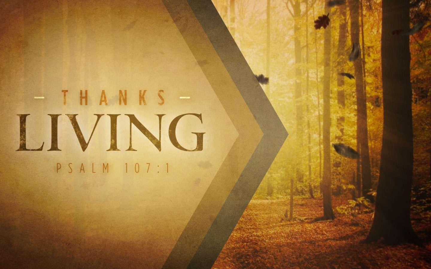 Expressions of Thanks-Living – Part 1 | Grace for the Race